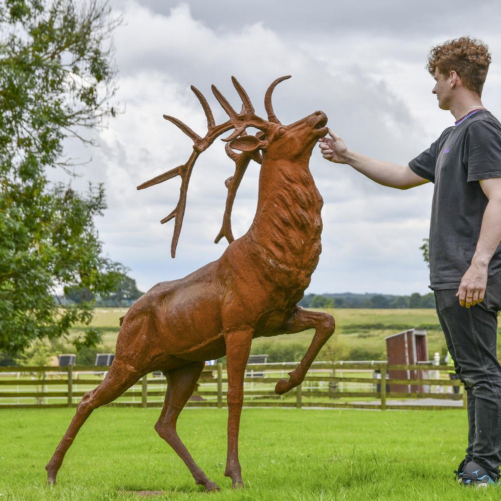 'Balfour Glen' Stag Cast Iron Garden Statue | Black Country Metalworks