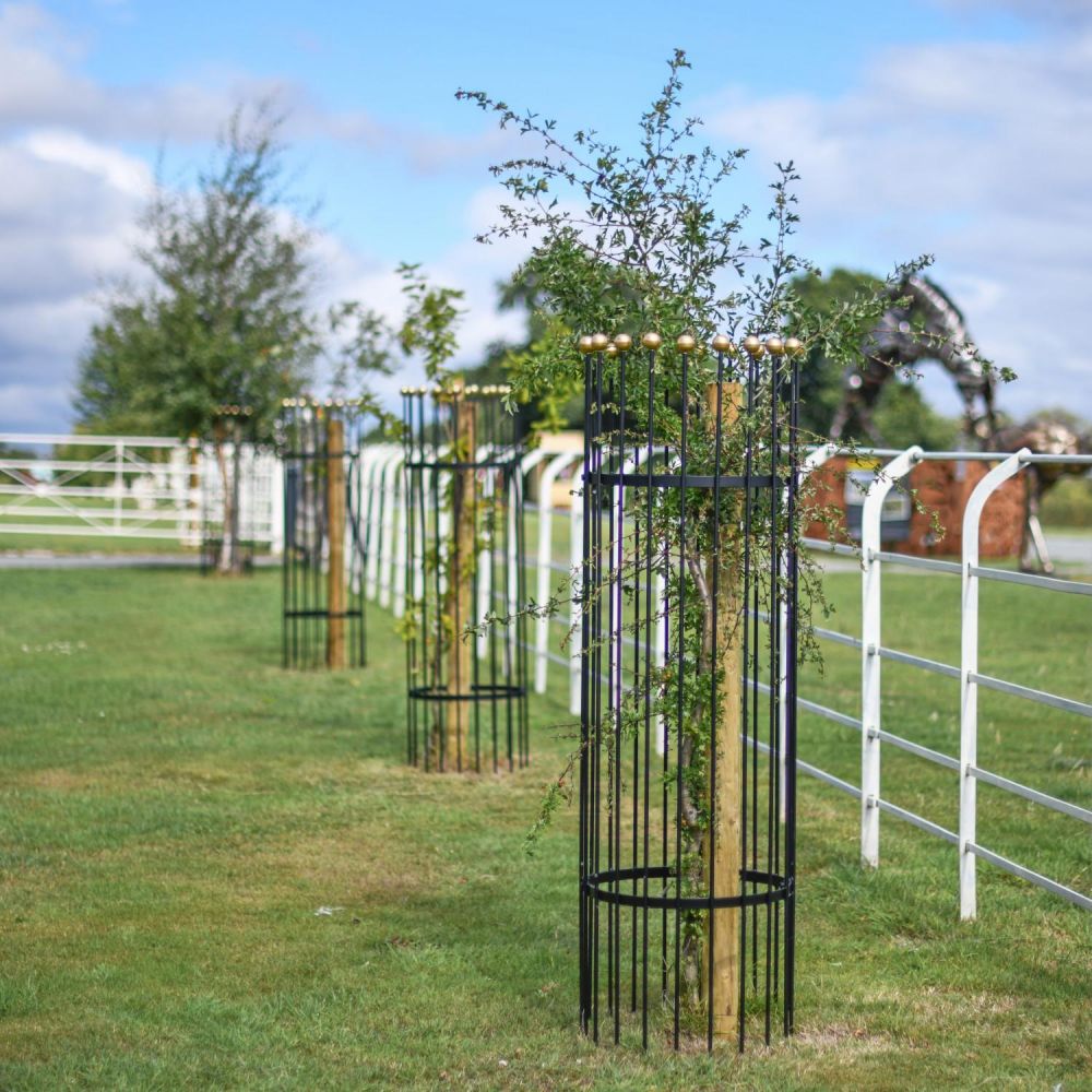 “Titan” Tree Guards - Gold | Black Country Metalworks