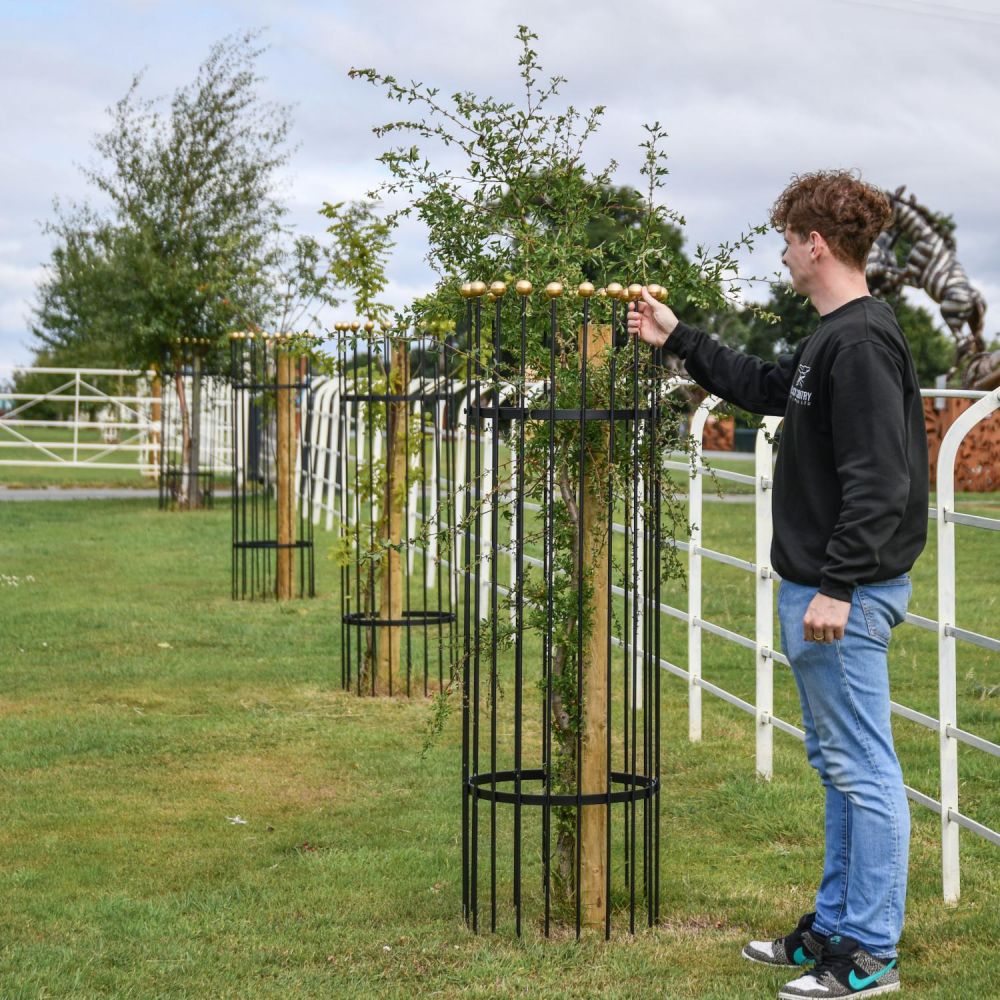 “Titan” Tree Guards - Gold | Black Country Metalworks