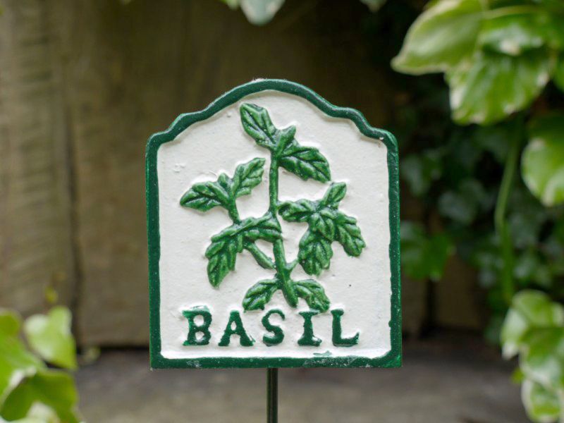 Painted Cast Iron Basil Herb Sign | Black Country Metalworks
