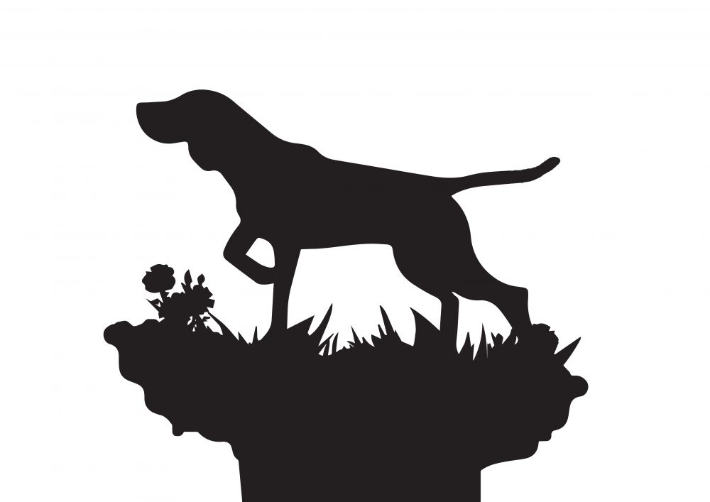 'German Shorthaired Pointer' Weathervane | Black Country Metalworks