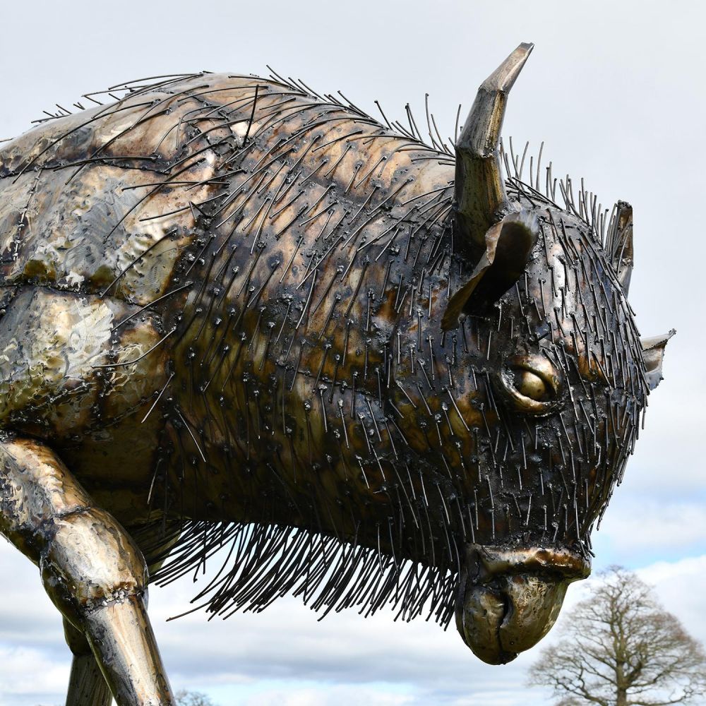 Bison Recycled Metal Sculpture | Black Country Metalworks
