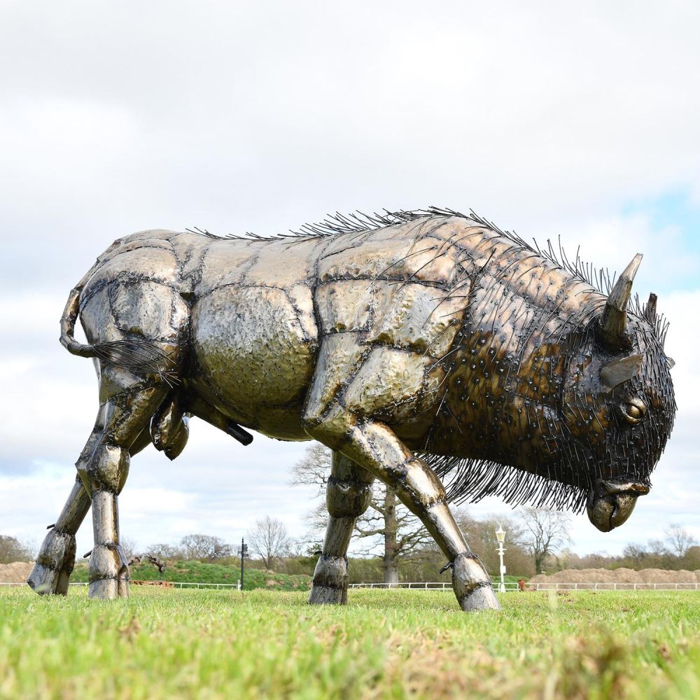 Bison Recycled Metal Sculpture | Black Country Metalworks