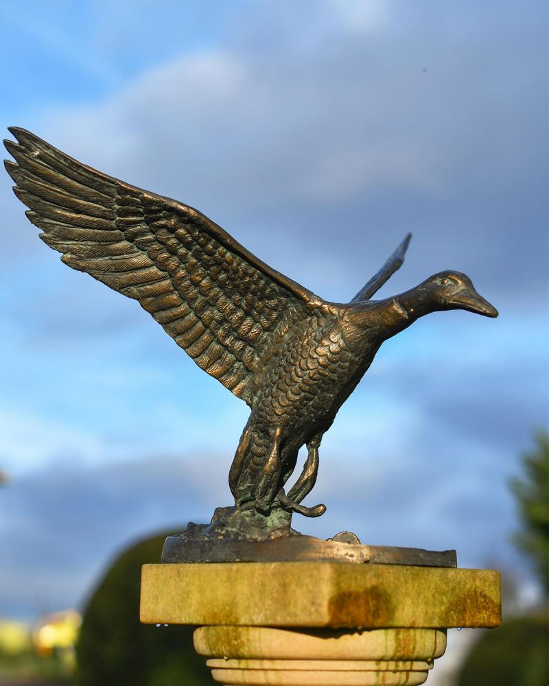 Cast Aluminum "Volans" Flying Duck Garden Sculpture | Black Country ...
