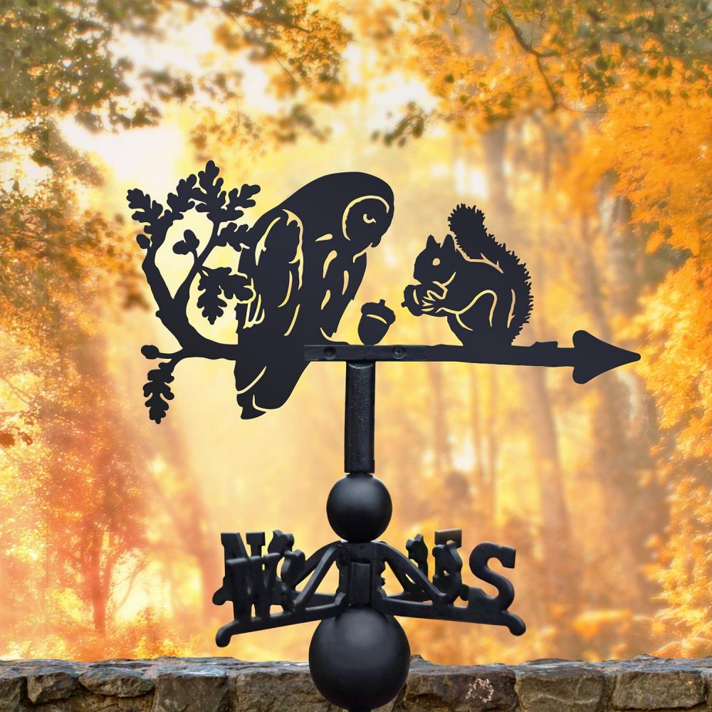 Cast Iron & Steel "Nutty" Owl & Squirrel Weathervane | Black Country ...
