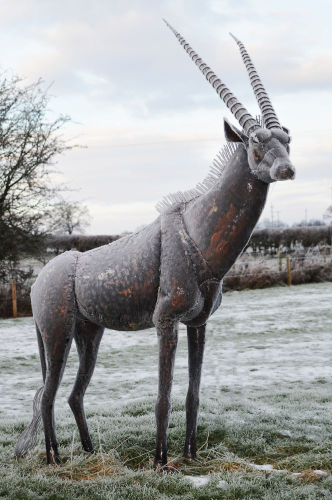 “Choroa Wilds” Oryx Sculpture | Black Country Metalworks
