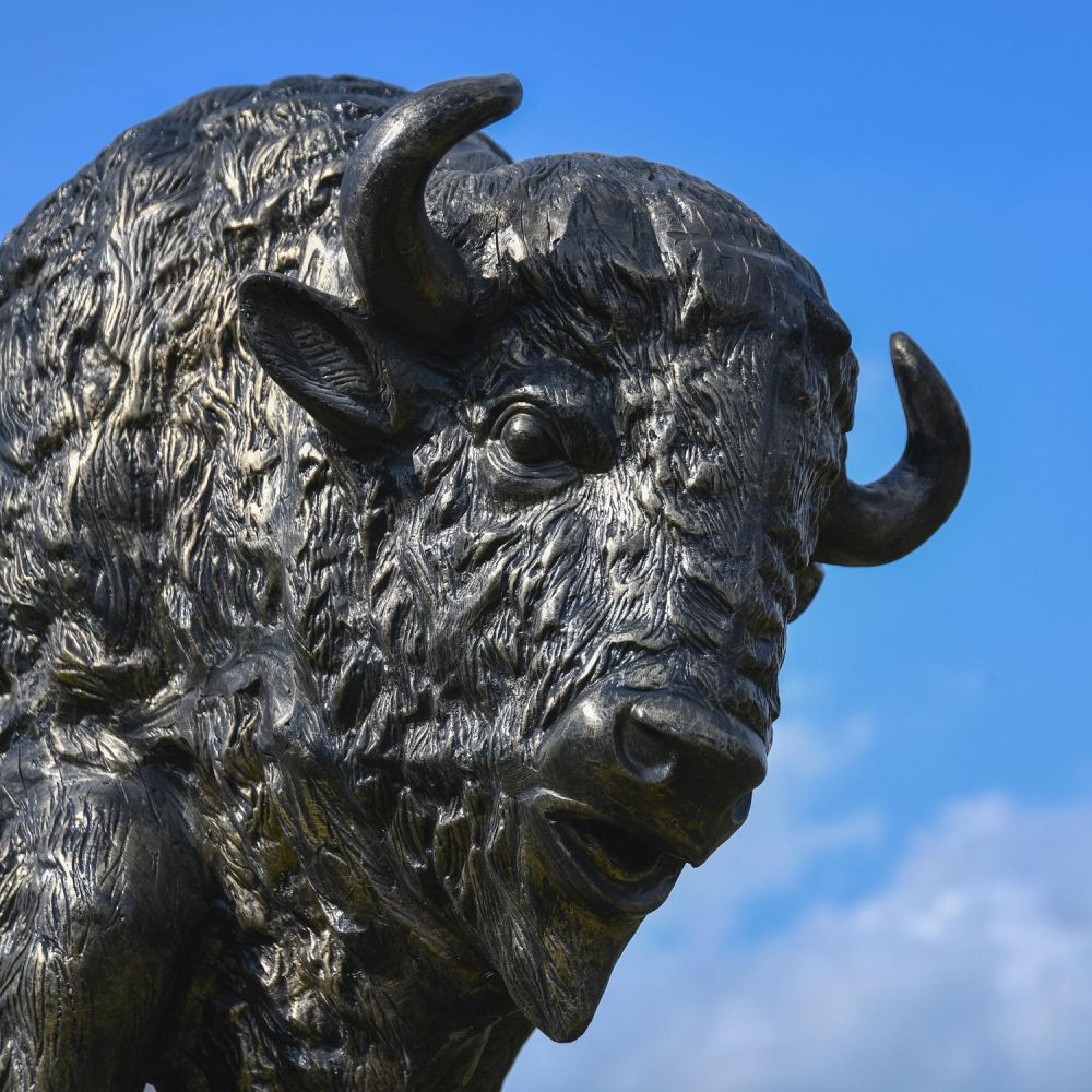 Tatanka Bison Garden Sculpture | Black Country Metalworks