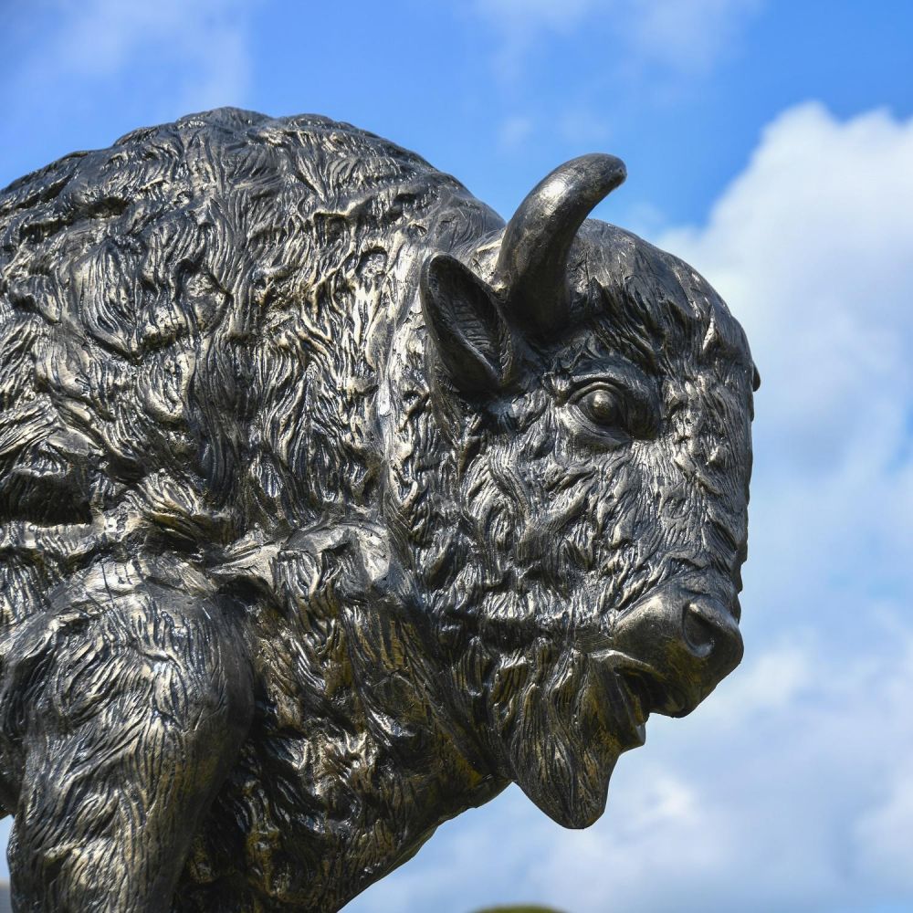 Tatanka Bison Garden Sculpture | Black Country Metalworks