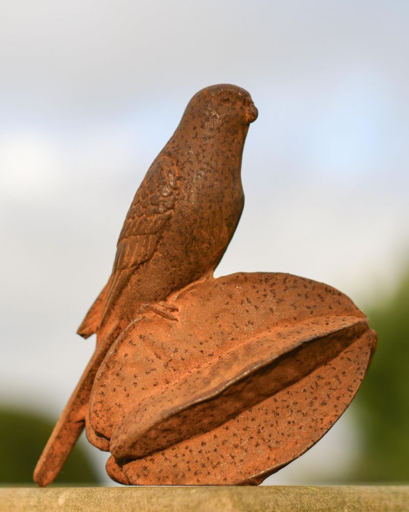 Rustic Cast Iron "Bird On Star Fruit" Garden Sculpture | Black Country ...