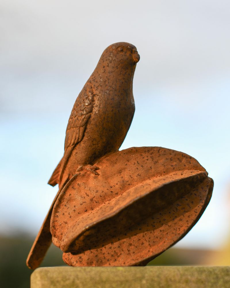 Rustic Cast Iron "Bird On Star Fruit" Garden Sculpture | Black Country ...
