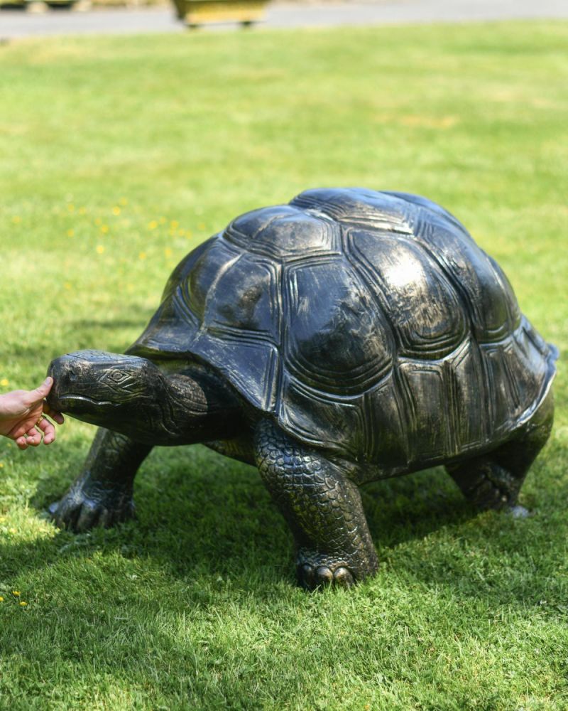 Extra Large Cast Aluminium "Charging" Tortoise Garden Sculpture | Black ...