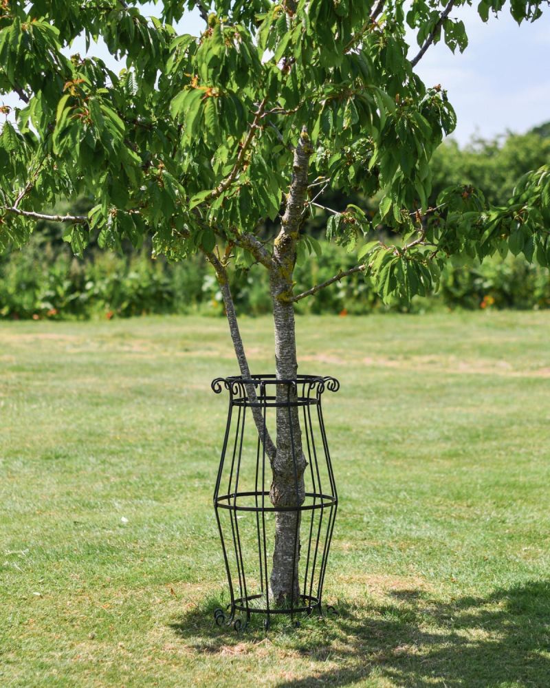 Large Black "Augustus" Steel Tree Guard - 105cm | Black Country Metalworks