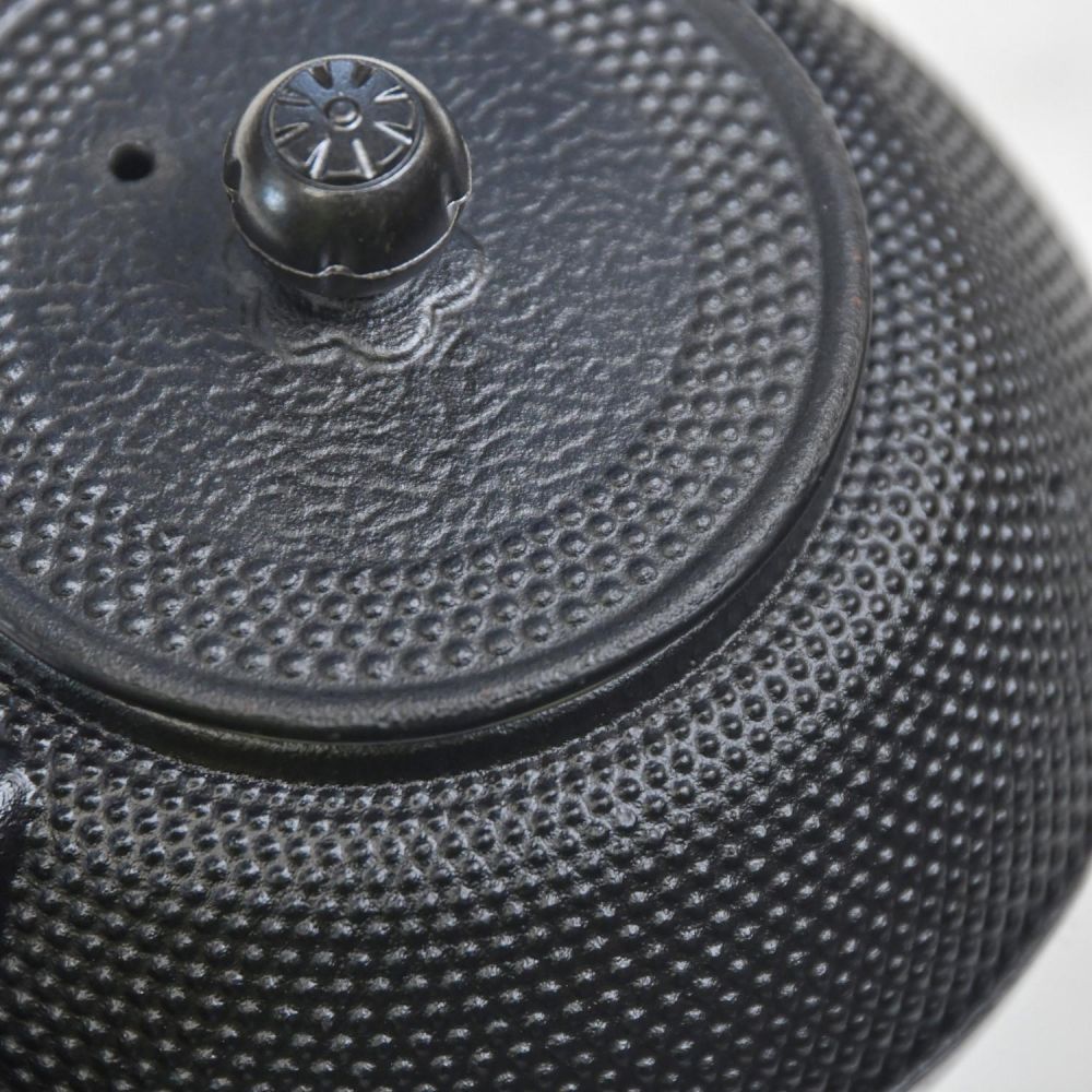 Large Black "Kyusu" Cast Iron Japanese Teapot with Handle - 1.2L ...