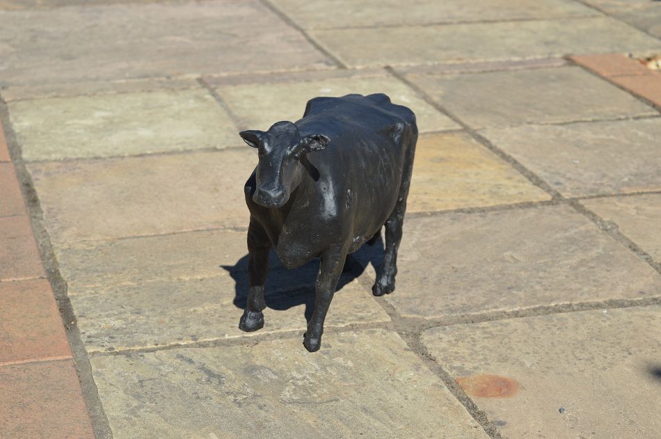"Aspell Farm" Dairy Cow Sculpture | Black Country Metalworks