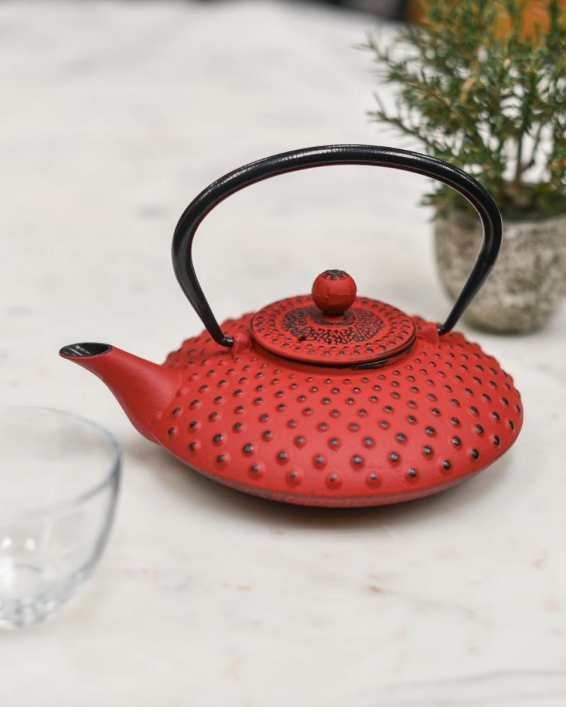 Red & Black Cast Iron "Ushirode Kyusu" Japanese Style Teapot | Black ...
