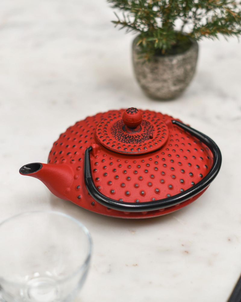 Red & Black Cast Iron "Ushirode Kyusu" Japanese Style Teapot | Black ...