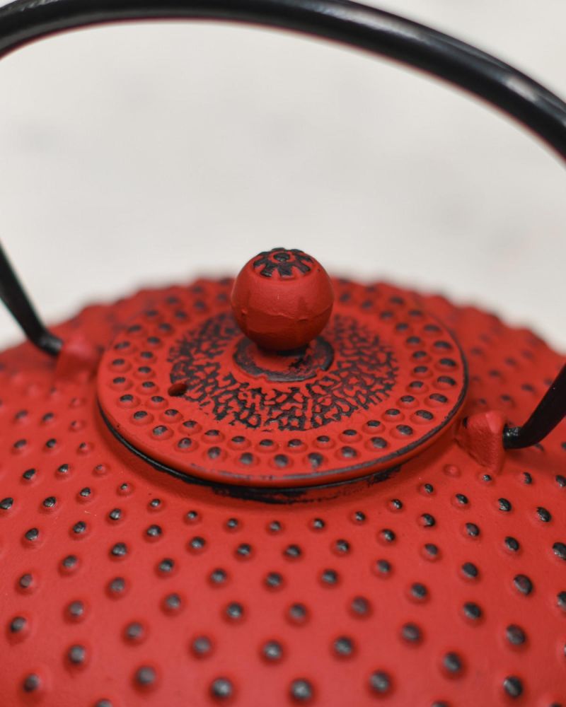 Red & Black Cast Iron "Ushirode Kyusu" Japanese Style Teapot | Black ...