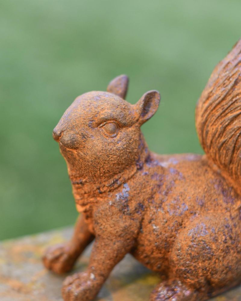 Rustic Cast Iron Freestanding Squirrel Garden Sculpture | Black Country ...