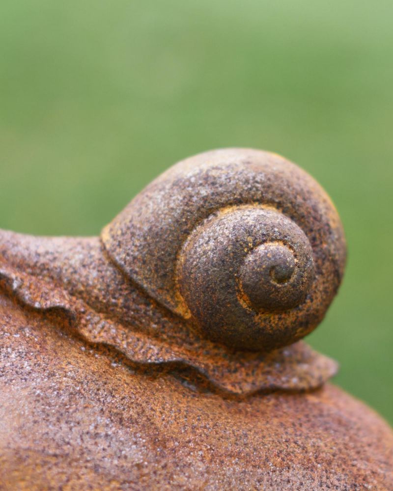 Rustic Cast Iron "Rocky Adventure" Snail Garden Sculpture | Black ...
