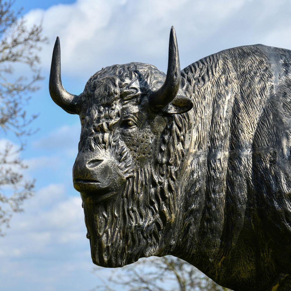 "Maska" Bison Sculpture | Black Country Metalworks