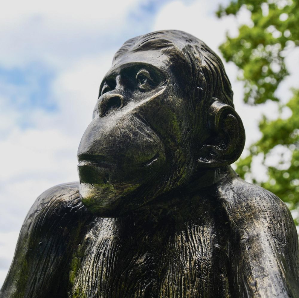 Brushed Gold Sitting Monkey Sculpture | Black Country Metalworks