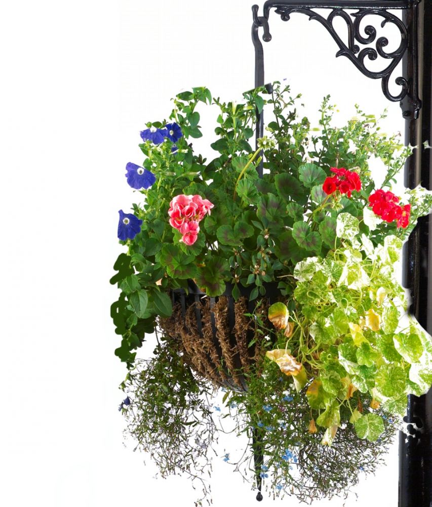 "Dashwood" Hanging Basket Pillar | Black Country Metalworks