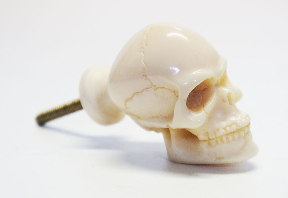 Skull Cabinet Knob | Black Country Metalworks