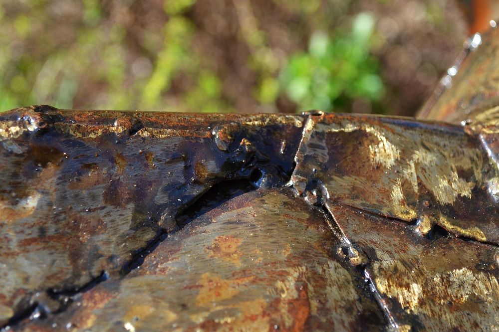 “Oteka” Elephant Calf Sculpture | Black Country Metalworks