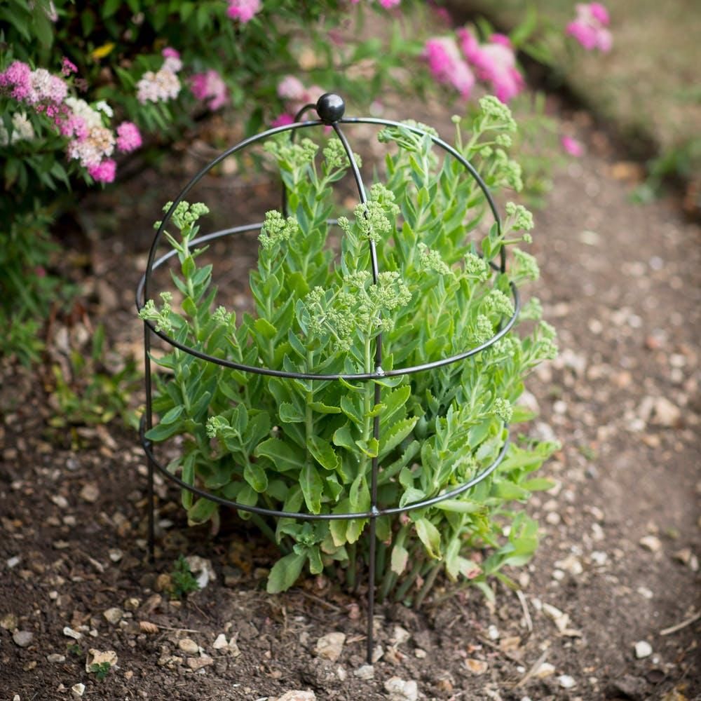 Plant Supports | Black Country Metalworks