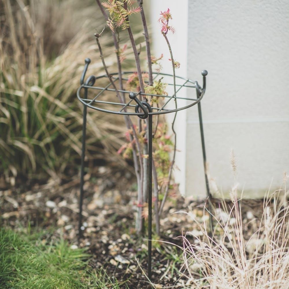Plant Supports | Black Country Metalworks