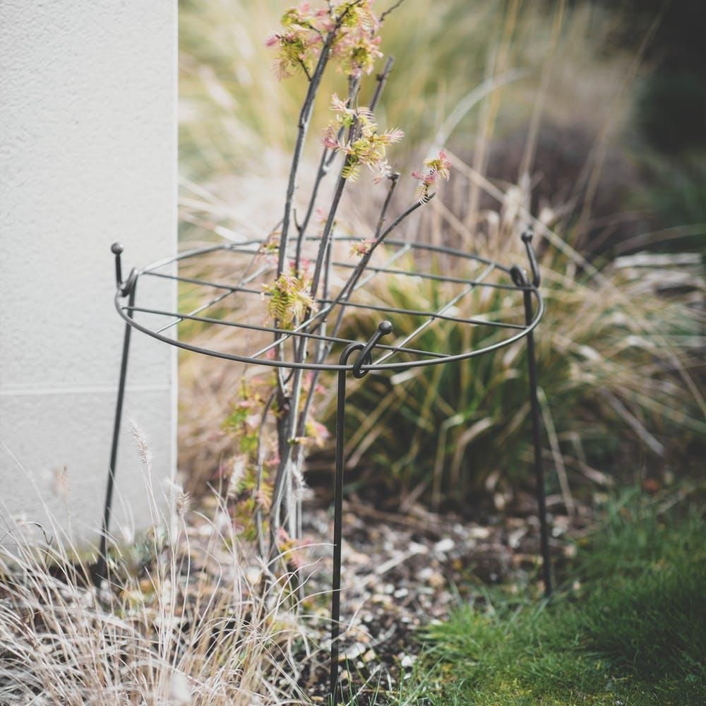 Plant Supports | Black Country Metalworks