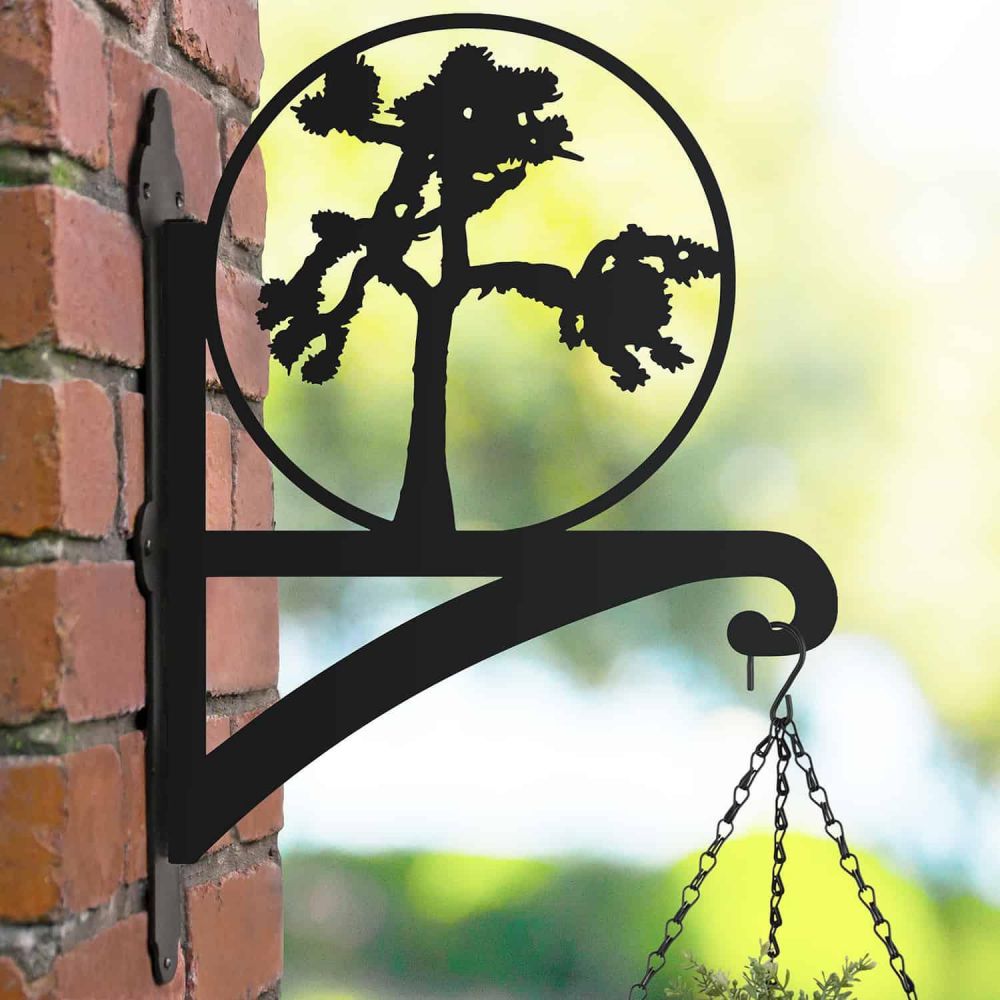 Steel Joshua Tree Hanging Basket Bracket | Black Country Metalworks
