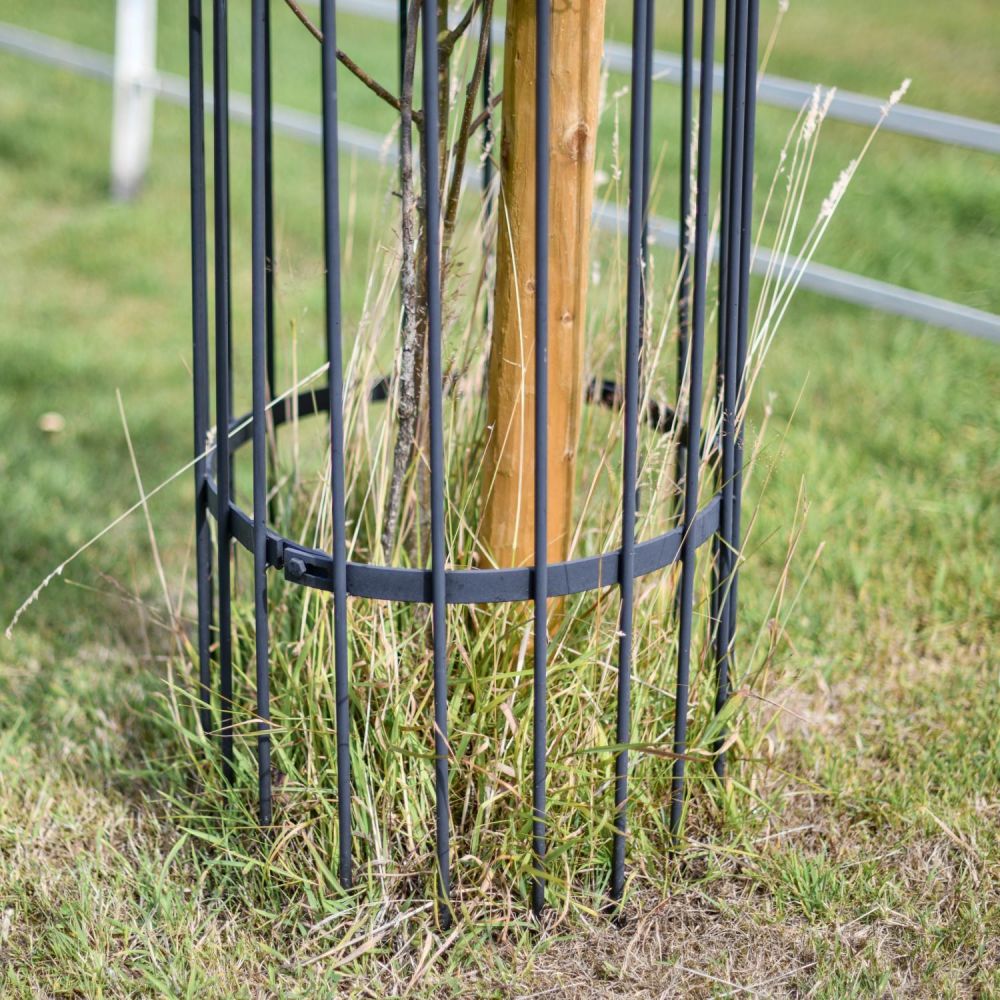 "Titan" Tree Guard - Black | Black Country Metalworks