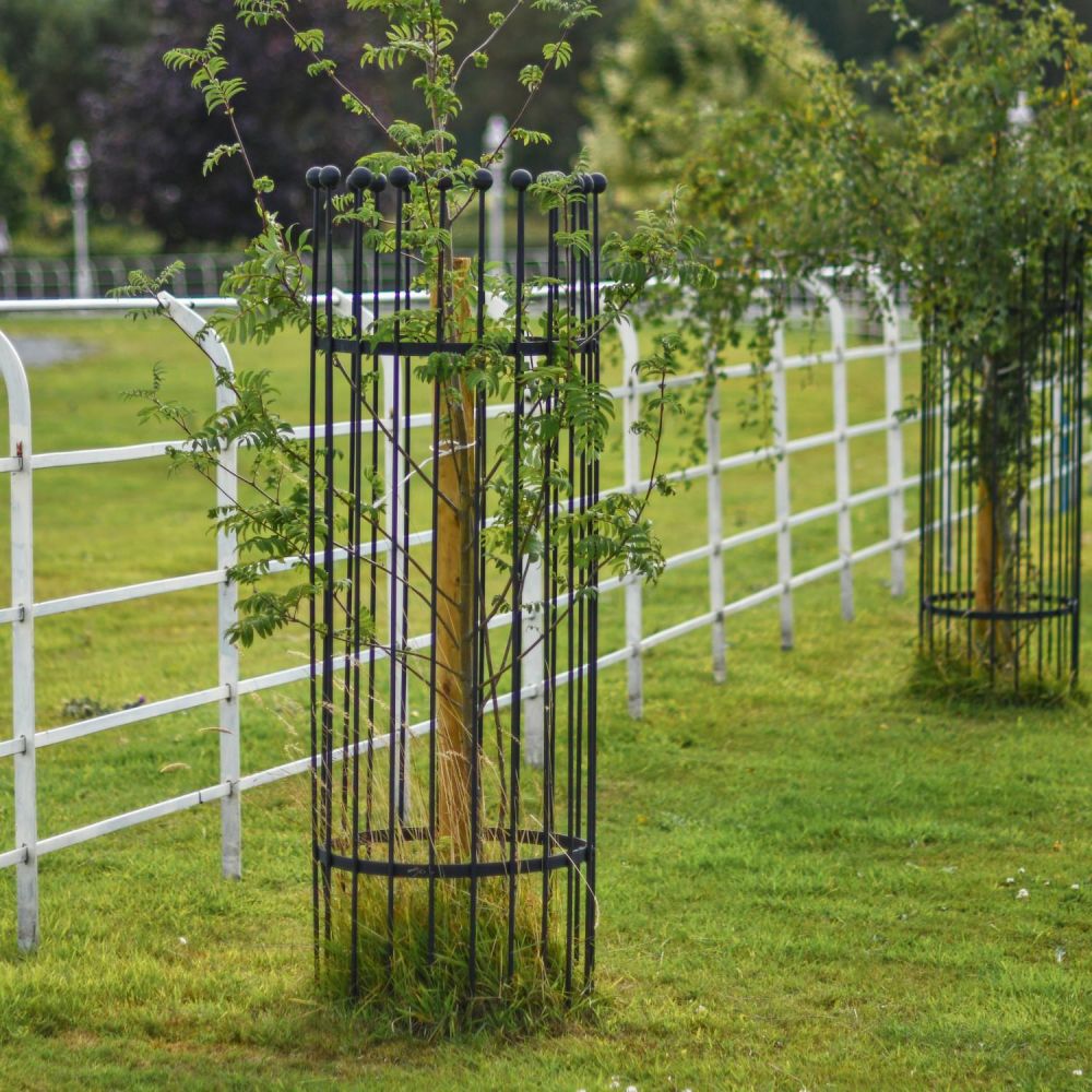 "Titan" Tree Guard - Black | Black Country Metalworks