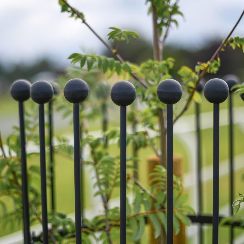 "Titan" Tree Guard - Black | Black Country Metalworks