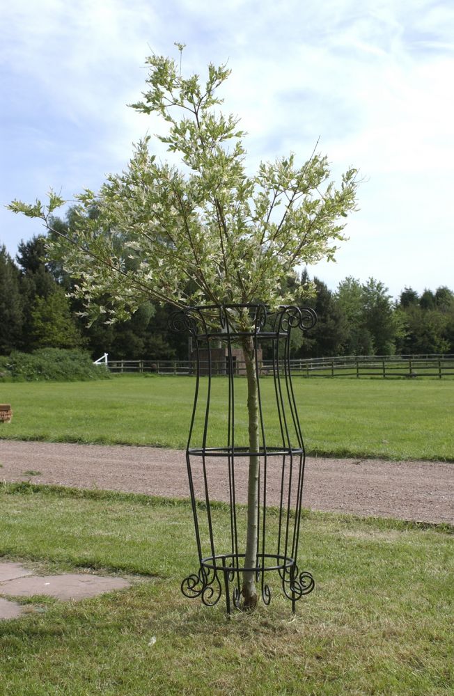 Tree Guards & Surrounds | Heavy Duty Iron Guards | Black Country Metalworks