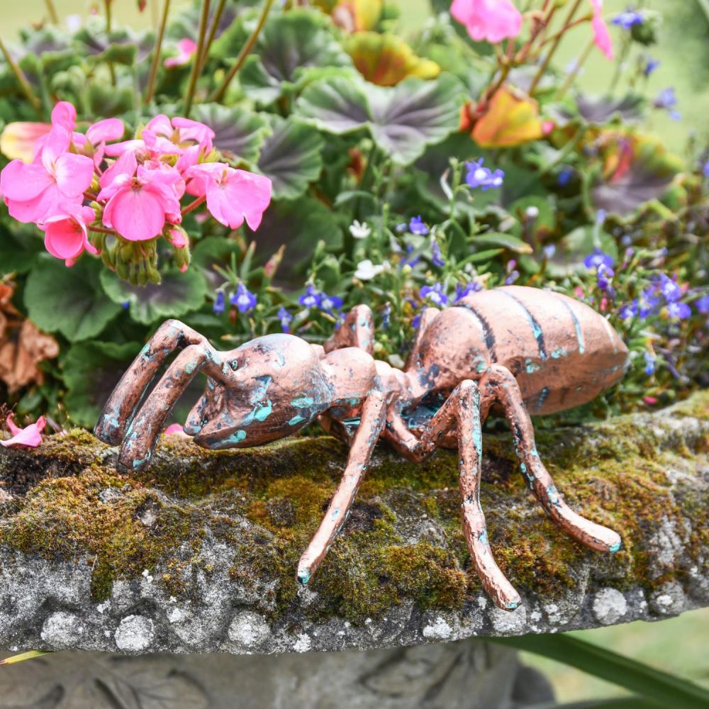 Insect Garden Sculptures and Ornaments | Black Country Metalworks
