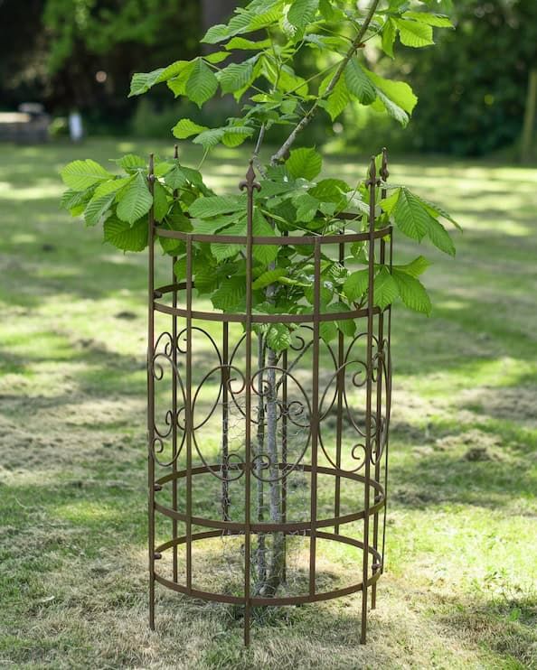 Tree Guards & Surrounds | Heavy Duty Iron Guards | Black Country Metalworks