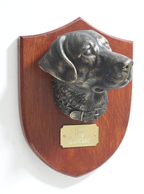 Labrador Trophy | Black Country Metalworks