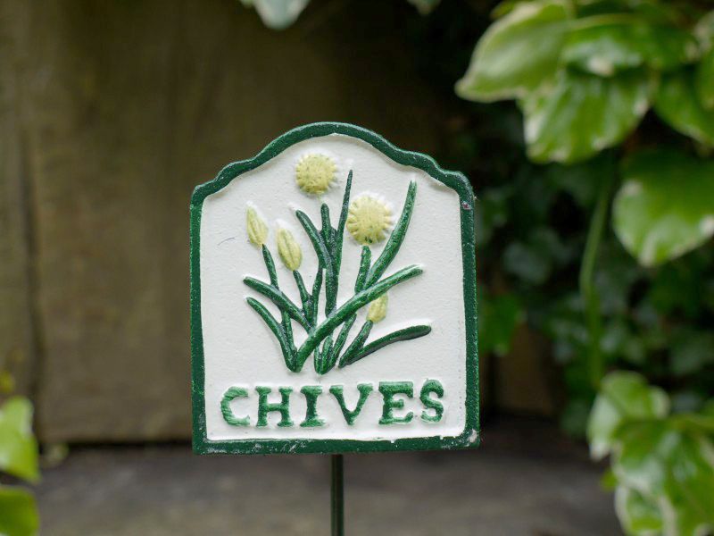 Painted Cast Iron Chives Herb sign | Black Country Metalworks