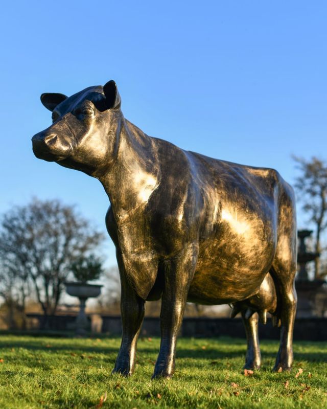 Bronze "Daisy" Standing Cow Sculpture | Black Country Metalworks