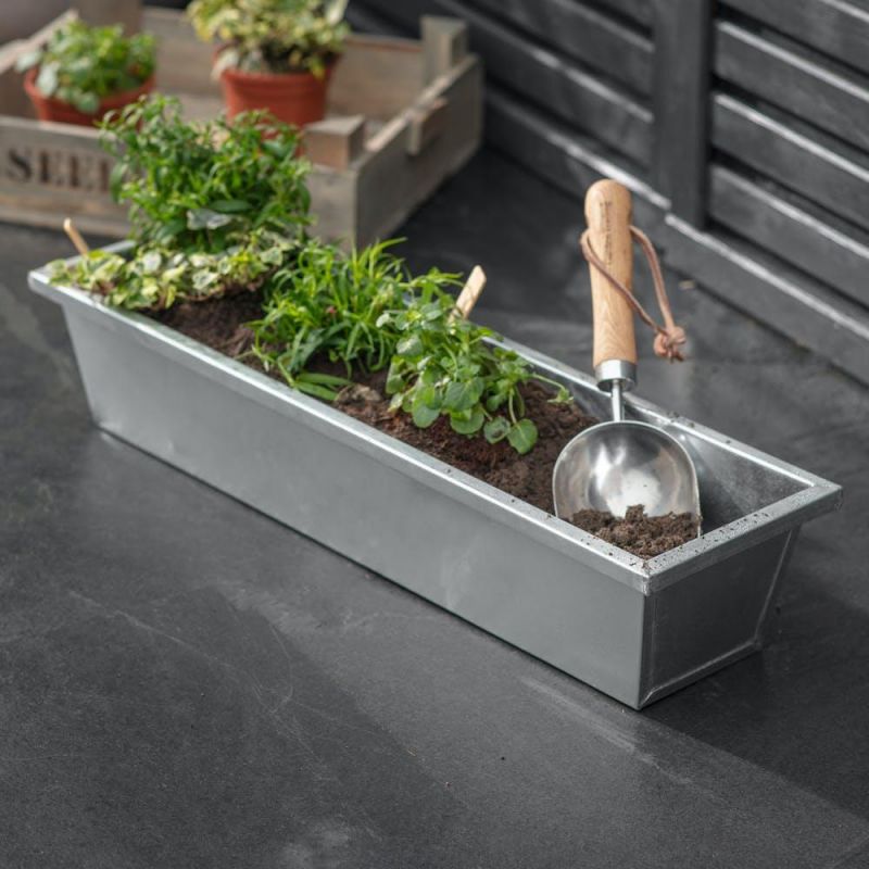 Antique Gold Bullfrog Planter | Black Country Metalworks