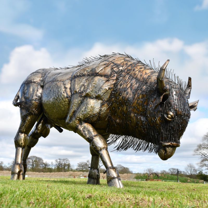 Bison Recycled Metal Sculpture | Black Country Metalworks