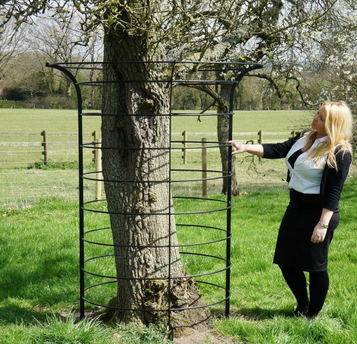 "Titan" Tree Guard - Black | Black Country Metalworks