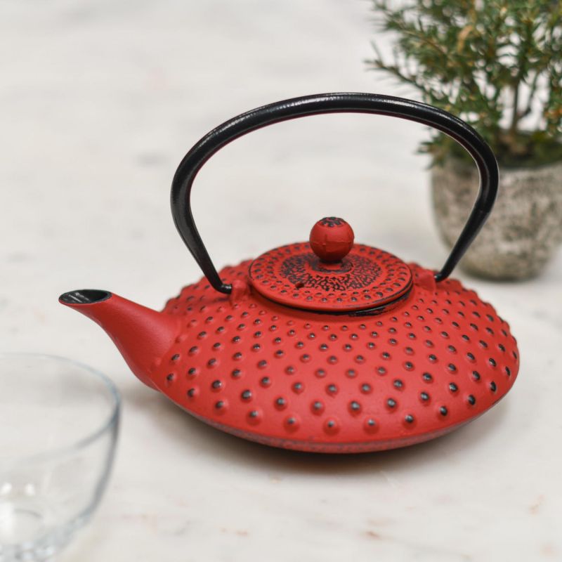 Red & Black Cast Iron "Ushirode Kyusu" Japanese Style Teapot | Black ...