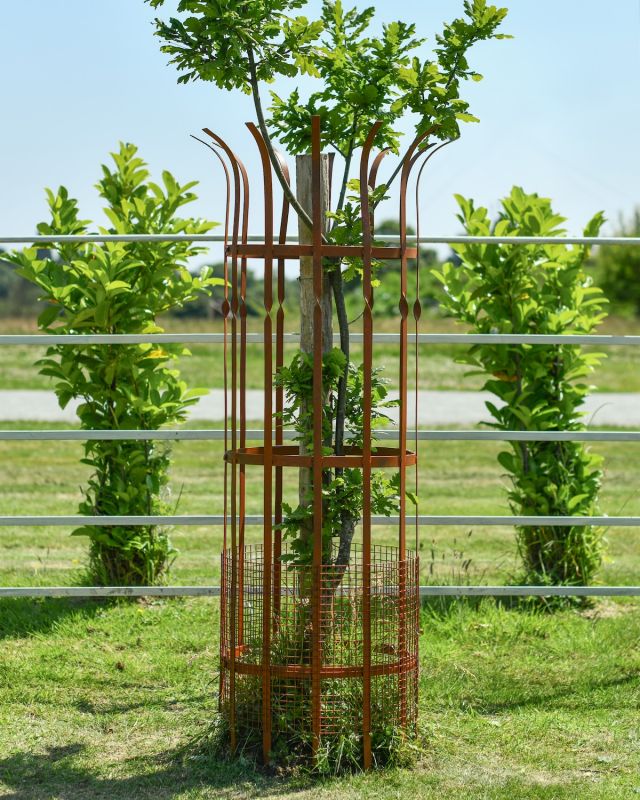 Wrought Iron 'Sandridge' Rustic Tree Guard - Large | Black Country ...