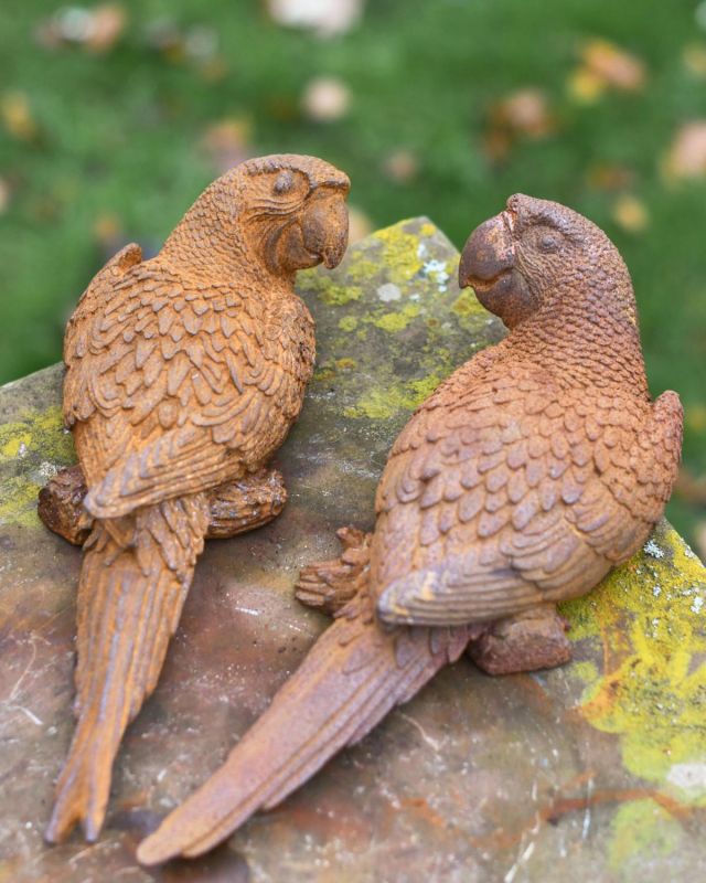 Rustic Cast Iron "Parrot Pair" Outdoor Garden Sculpture | Black Country ...
