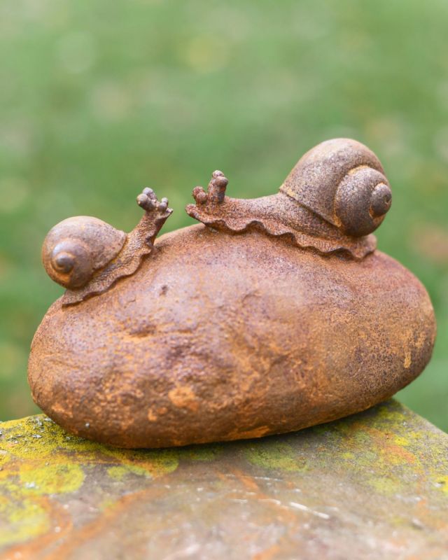 Rustic Cast Iron "Rocky Adventure" Snail Garden Sculpture | Black ...