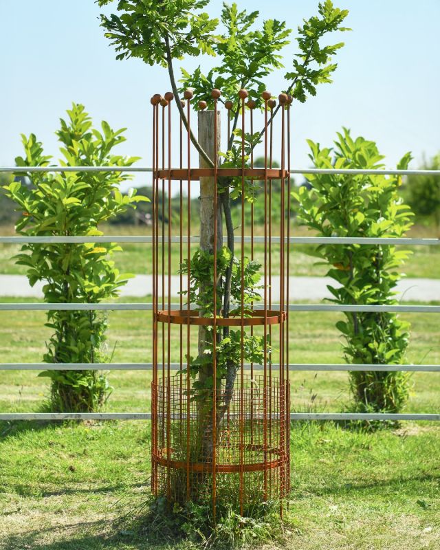 Wrought Iron Traditional 'Fernhill' Rustic Tree Guard - Large | Black ...