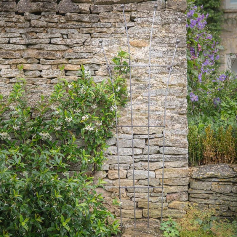 Steel Wall Mounted Plant Trellis | Black Country Metalworks